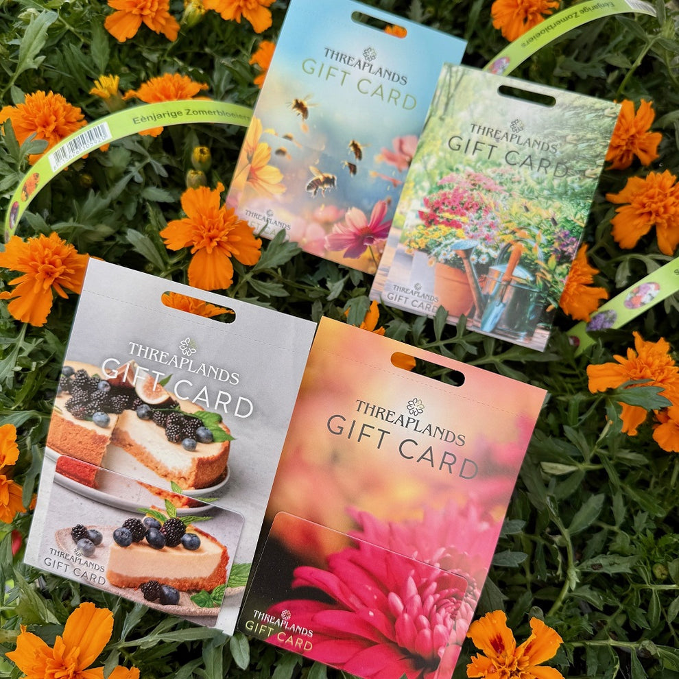 Threaplands gift card