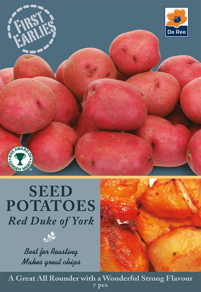 Potato- Red Duke of York First Earlies – Threaplands