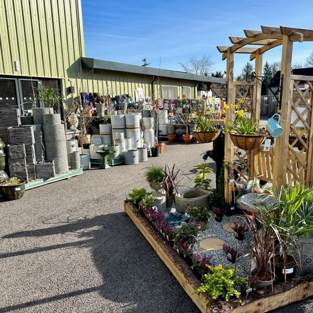 Photo Gallery – Threaplands