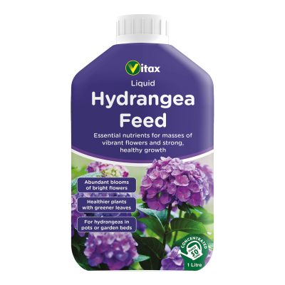 Hydrangea Feed Liquid 1L – Threaplands